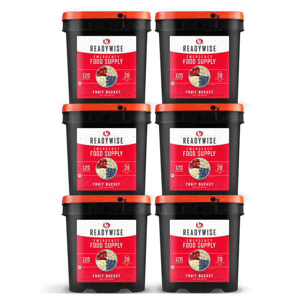 720 Serving Freeze Dried Fruit Bundle | ReadyWise